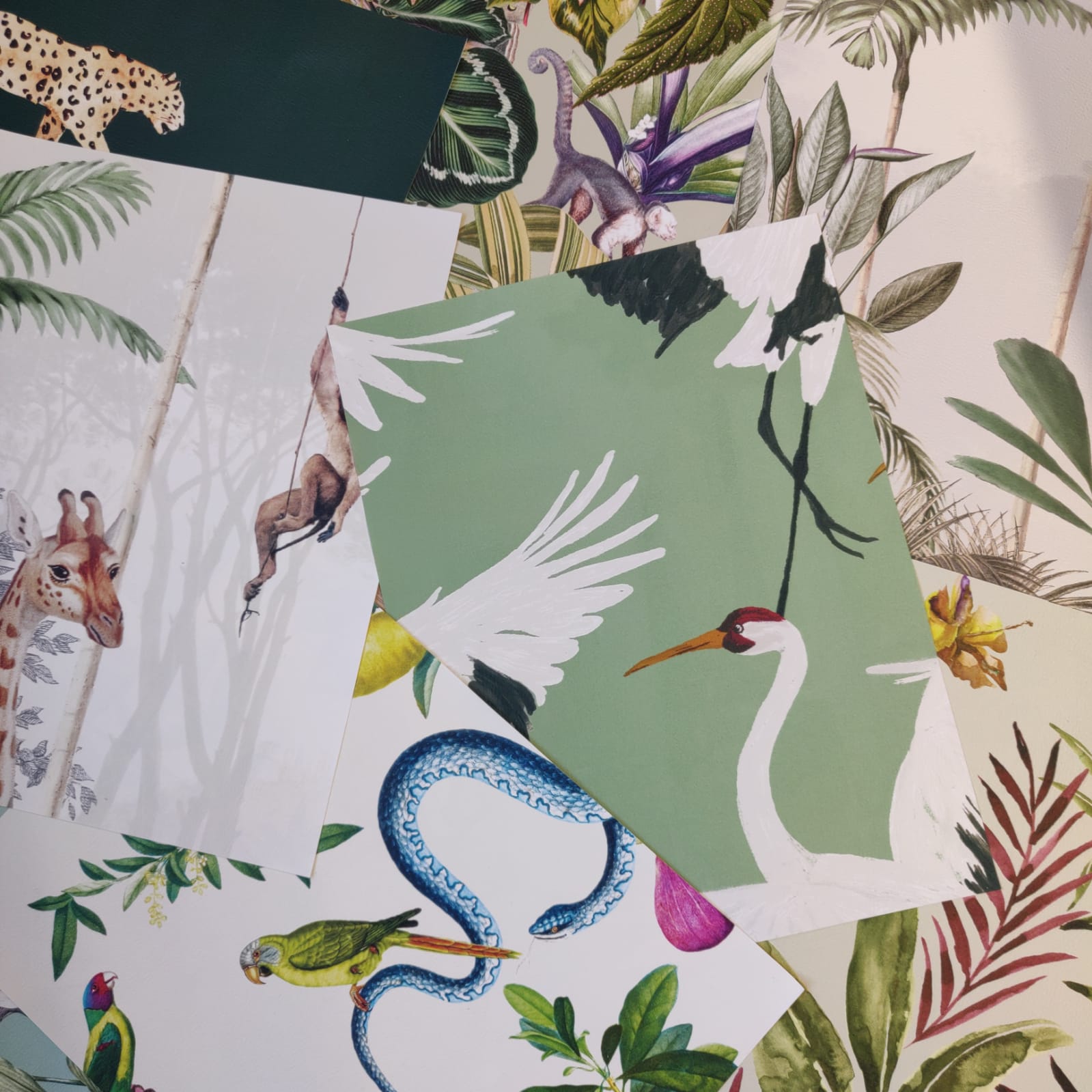 Ordering wallpaper samples – Annet Weelink Design