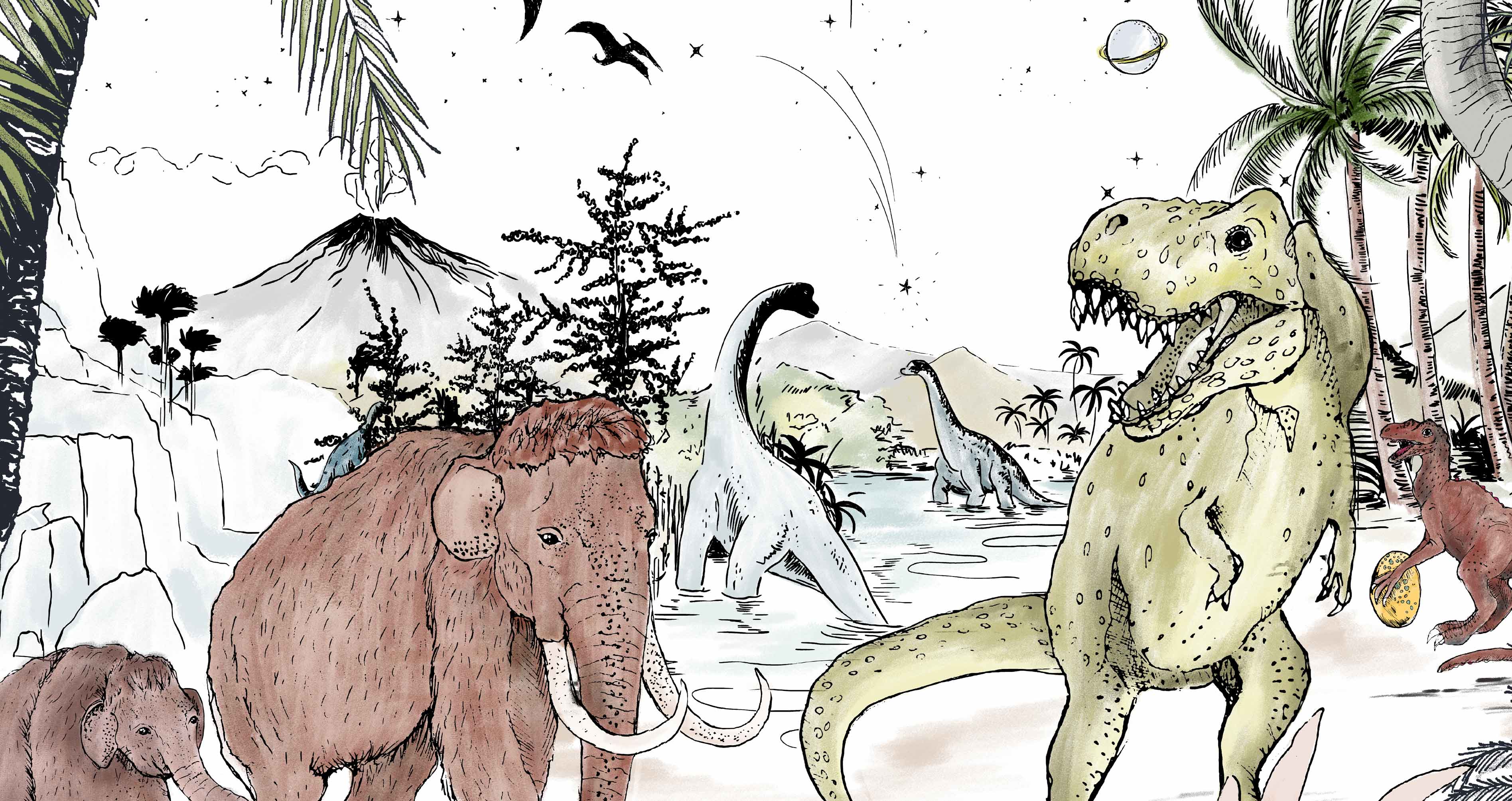 PREHISTORIC: WALLPAPER AND PAINT COMBINATIONS – Annet Weelink Design